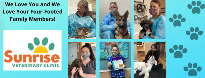 Veterinarian in Benton City, WA 99320 | Sunrise Veterinary Clinic